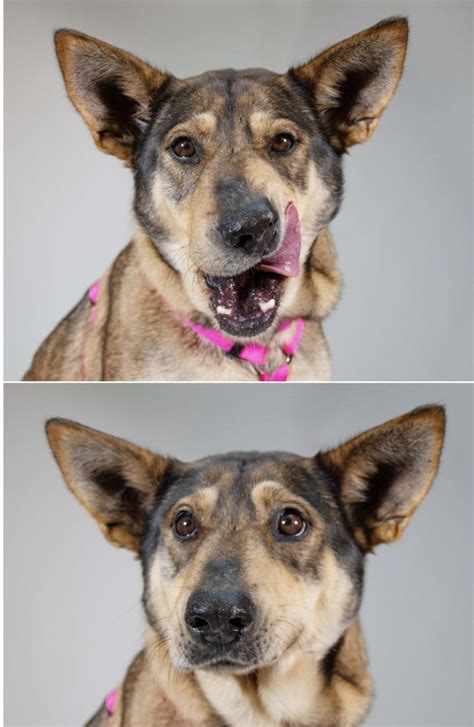 Self Explanatory Rsonarears