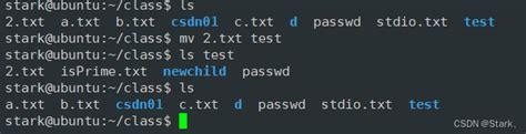 【linux基础命令】文件与目录linux 目录和文件如何判断 Csdn博客