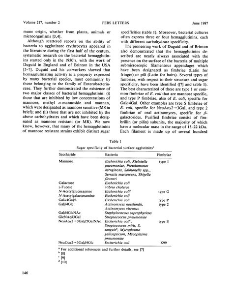 Solution Bacterial Lectins Cell Cell Recognition And Infectious Disease Inflammation