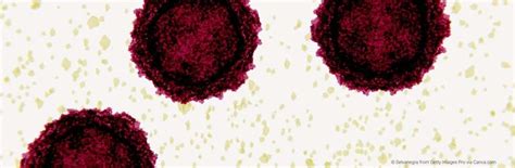 Fact Sheet Polio What You Need To Know Immunize Colorado