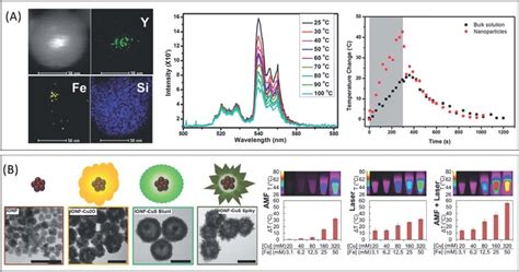 A Haadf Stem Image And Elemental Mapping Of Sio 2 Encapsulated Download Scientific Diagram