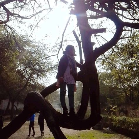 Megha Kumari Gupta Maharshi Dayanand University Noida Uttar Pradesh India Linkedin