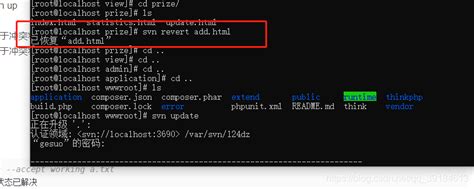 Svn 节点处于冲突状态解决 Csdn博客
