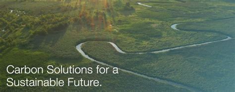 Judith C On Linkedin Hiring Jobopening Careeropportunity