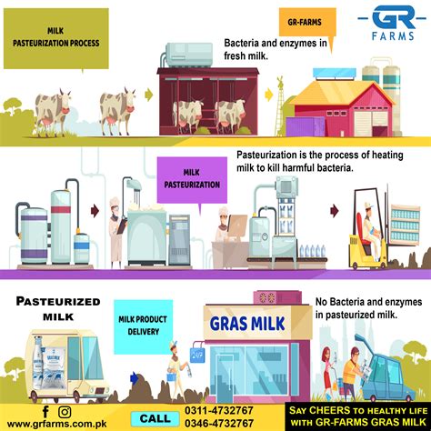 Pasteurization Diagram