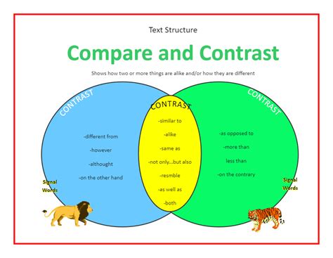 Explain Venn Diagram Compare And Contrast Venn Diagram Venn