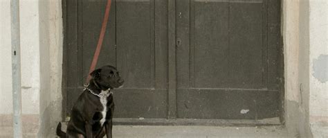 Managing Users Permissions With Cedar Policies In The Aws Lambda Dev