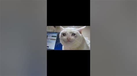 Has This Ever Happened To You 🥺 Coding Techfuture Codingmistakes