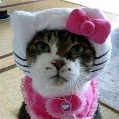 Comexception Youtube