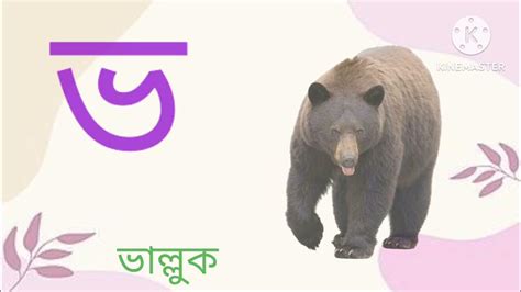 কখগঘঙ।।ক কমলা।।খ খাবার।।গ গুহা।।ঘ ঘোড়া।। বাংলা ব্যঞ্জনবর্ণ বর্ণমালা পাঠ।। Youtube
