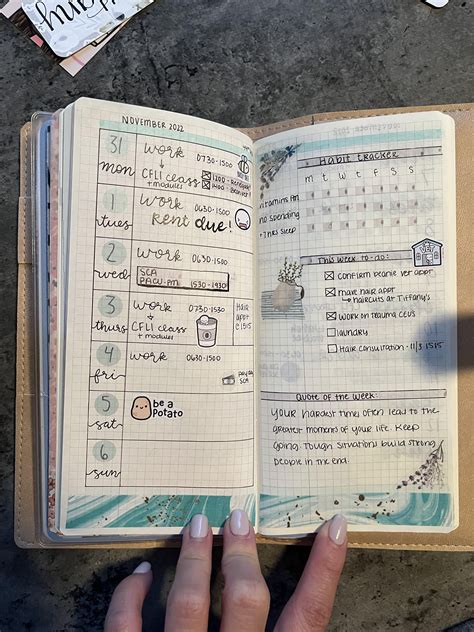 Part Of My 2023 Hobonichi Weeks Setup Rhobonichi