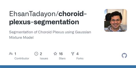 Github Ehsantadayonchoroid Plexus Segmentation Segmentation Of