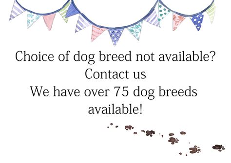 Cockapoo Birthday Card Cockapoo Card Cockapoo Birthday Etsy Uk