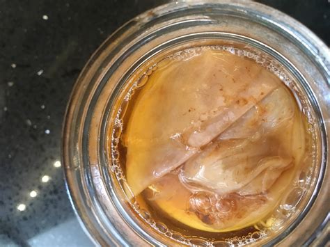 Does This Look Like Botulism R Kombucha