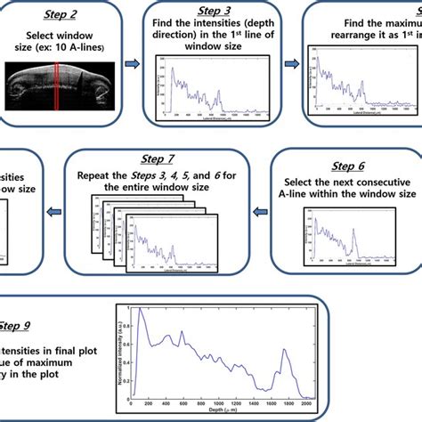 Flow Diagram Of Depth Intensity Profile Analysis Algorithm Download