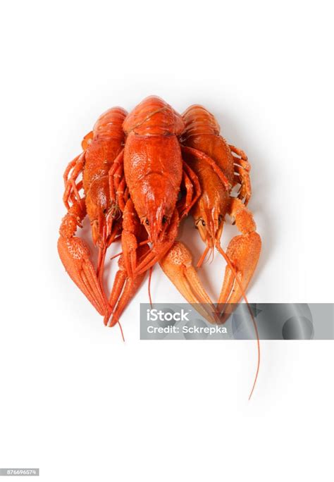 해물 요리 붉은 가재 삶은 맥주에 대 한 간식의 종류입니다 갈고리 발톱에 대한 스톡 사진 및 기타 이미지 갈고리 발톱 갑각류 강 Istock