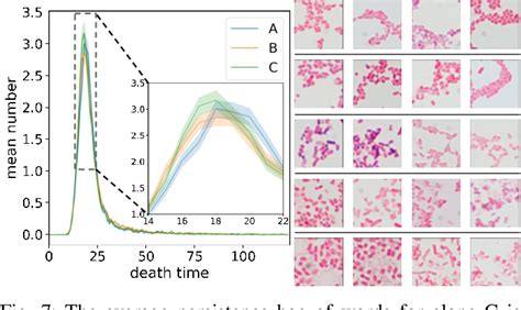 Figure 7 From Deep Learning Classification Of Bacteria Clones Explained By Persistence Homology