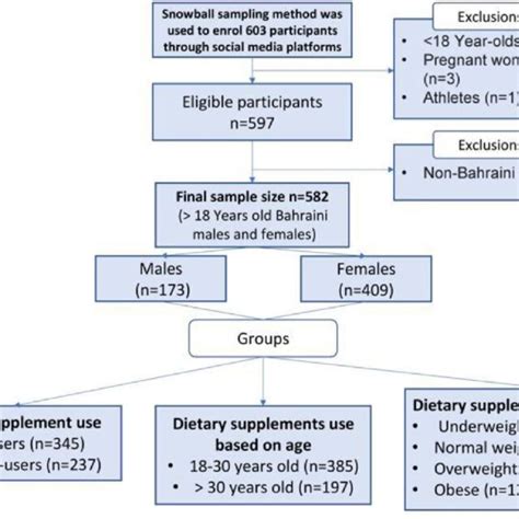 Flow Diagram Of Participants Enrollment Download Scientific Diagram