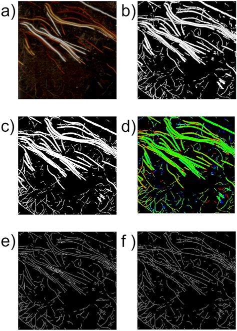 Example Of Segmentation And Result Of Skeletonization A 1000 By 1000