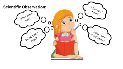 Scientific Observation Examples