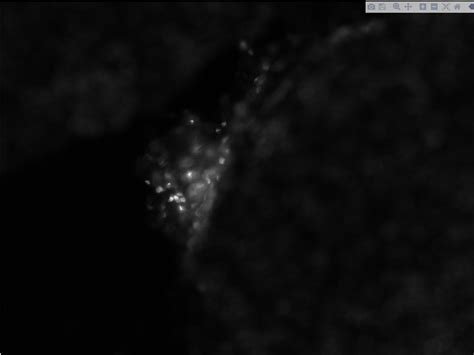 MySQL Error Improve Selection Of Plane Issue Hammerlab Cytokit GitHub