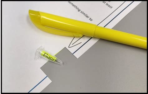 P51™ Introduction To Fluorescence Lab Glow Big Or Glow Home Minipcr