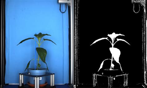 Testing Ipso Phen Documentation