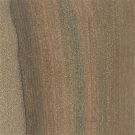 Blackheart Sassafras The Wood Database Hardwood