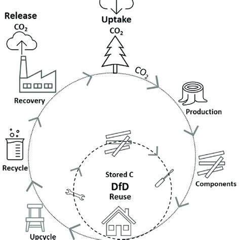 Life Cycle Of Renewable Materials And Cascade Use Of Biomaterials Download Scientific Diagram