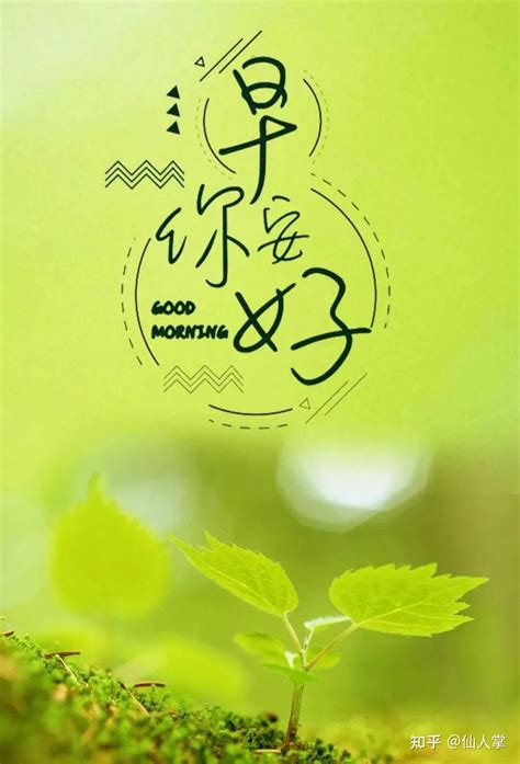 励志早安日签文案 知乎