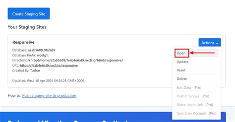 How To Create A Staging Site For WordPress A Beginner S Guide