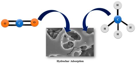 Role Of Hydrochar For Multipurpose Applications Encyclopedia Mdpi