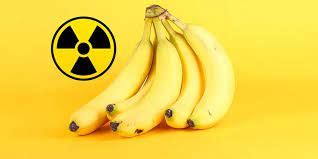 Did You Know Bananas Are Slightly Radioactive Quad Cities Daily