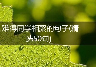 难得同学相聚的句子 精选50句