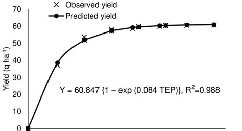 Relationship Of Yield And Total Effective P Under Field Conditions Download Scientific Diagram