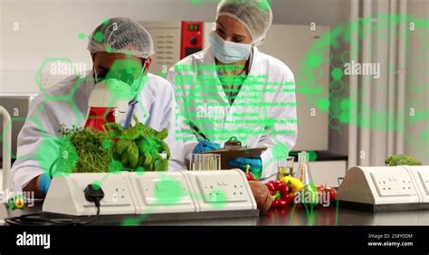 Image Of Chemical Formula And Data Processing Over Diverse Scientists