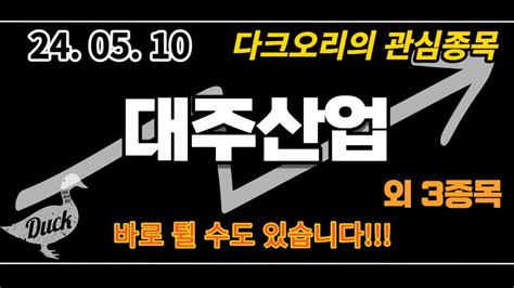 2024년 05월 10일 다크오리 주식 관심종목 분석 영상 유아이디 대주산업 샘표식품 보라티알 장 마감 후 직장인투자자 주식이야기 밥그릇기법 역매공파 기준봉눌림매매