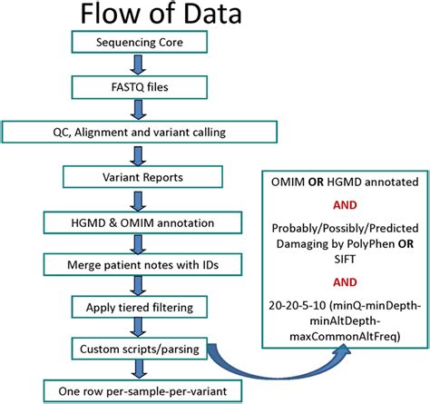 Flowchart For Data Analysis Sequencing Flowchart Variant Filtering