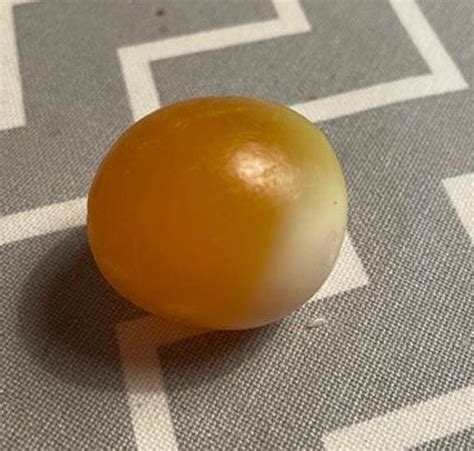 20 Pics That Show What Happens To Things When We Forget About Them Bright Side