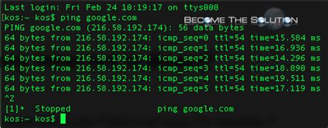 How To Ping In Mac OS X Terminal