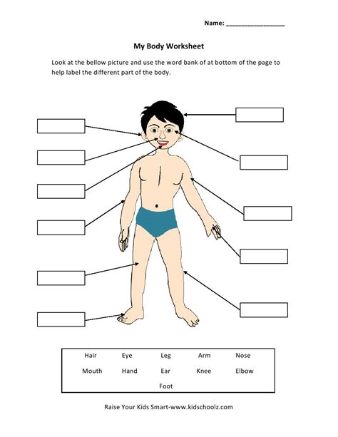 My Body Worksheet For Class 1