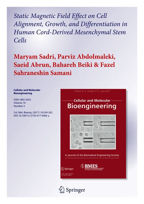 Pdf Static Magnetic Field Effect On Cell Alignment Growth And Differentiation In Human Cord