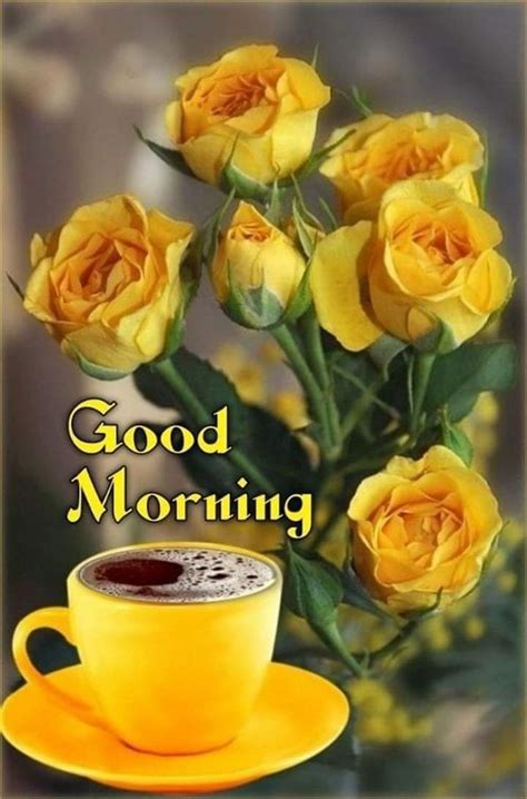 Good Morning Roses Yellow