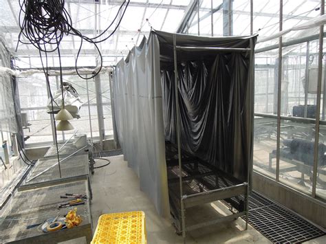 愛知県農業試験場見学（平成25年5月22日） 社 日本洋蘭生産協会ー胡蝶蘭部門