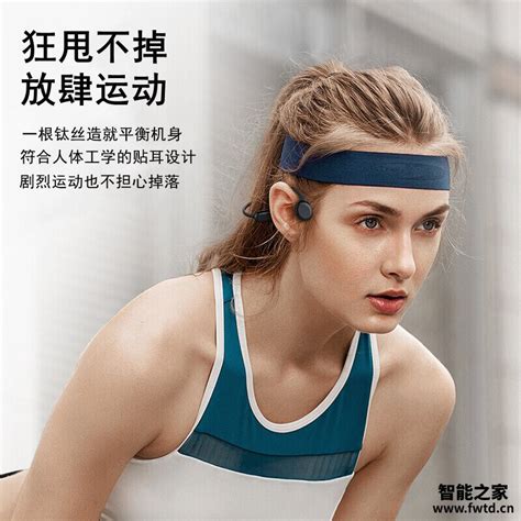 「入手体验」园世x18耳机耳麦评测结果怎么样？不值得买吗？智能之家