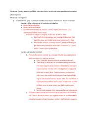 Molecular Cloning Labster Docx Molecular Cloning Assembly Of DNA Molecules Into A Vector And