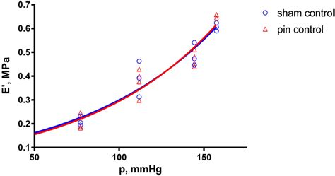 Ijms Free Full Text In Vitro Effects Of Fentanyl On Aortic