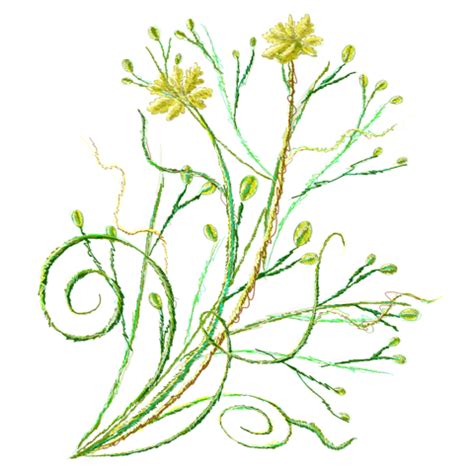 Виньетки - Картинки PNG - Галерейка