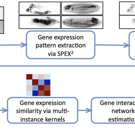 Gini Schematic The Schematic Shows An Outline Of The Overall System To