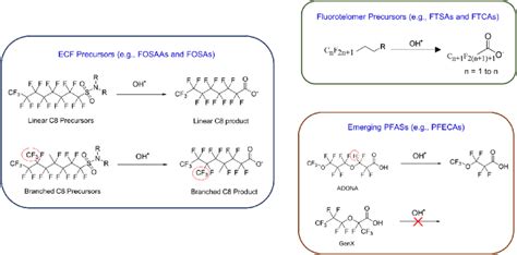 A Schematic Diagram Of The Pfas Precursor Oxidative Conversion Process Download Scientific